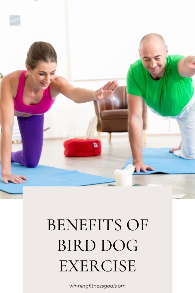 Benefits of Bird Dog Exercise - winningfitnessgoals.com